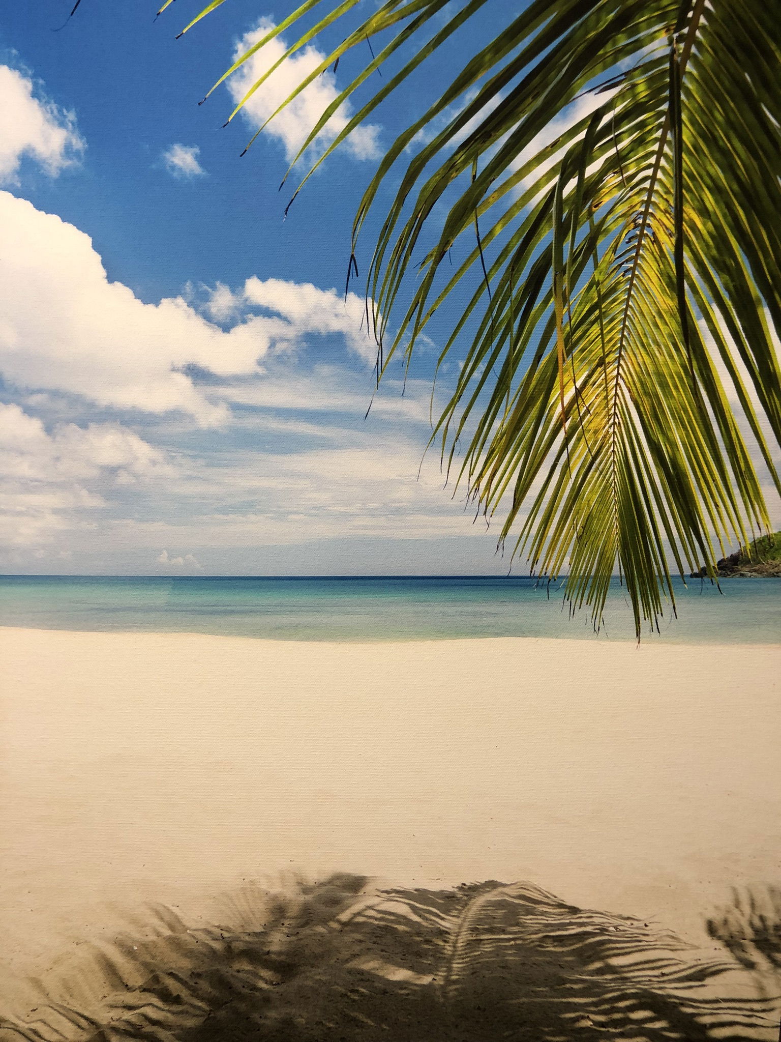 Introducing Chester Copperpot:All You Need to Know About the Onlyfans Model